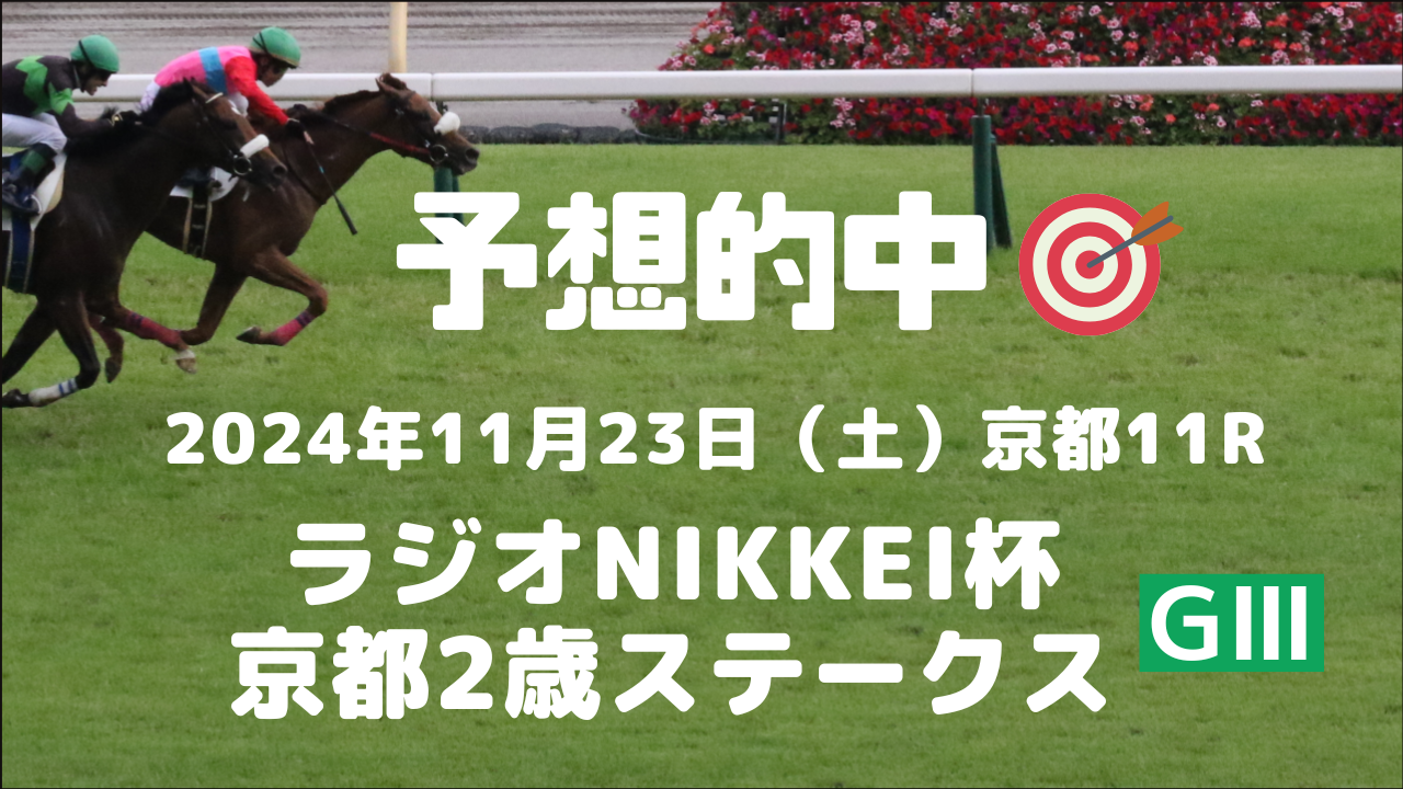 予想的中 ⭐⭐⭐ ラジオNIKKEI杯 京都2歳ステークス[GⅢ]2024年11月23日（土）京都11R | 【競馬のひみつ】無料レース予想ブログ